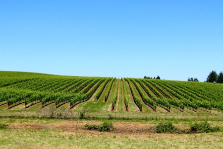 Go Winetasting along the Applegate Valley Wine Trail - Trip Ideas ...