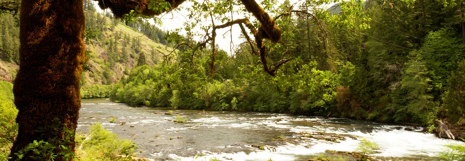 Idleyld Park, Oregon Unique Inns, Bed and Breakfasts, Boutique Hotels