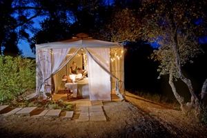 Unique Inns, Bed and Breakfasts, Country Inns & Boutique Hotels